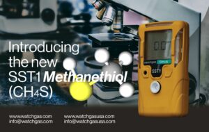 Gas detection systems for a safe work environment